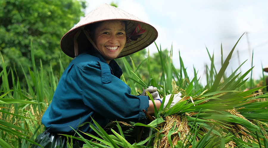Empowering smallholder farmers through AI: A new era for Vietnam's ...