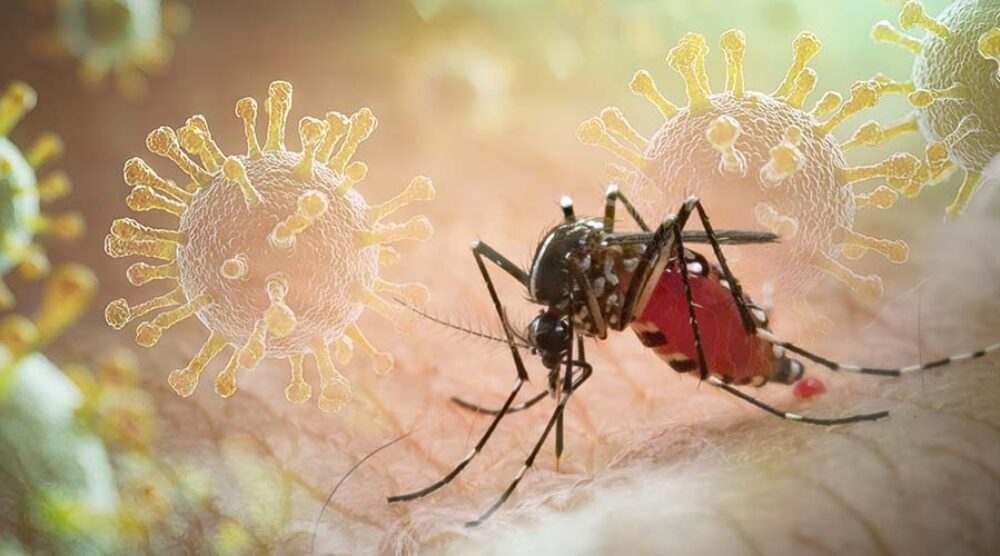 Vietnam’s health sector innovates to tackle climate change: The E ...