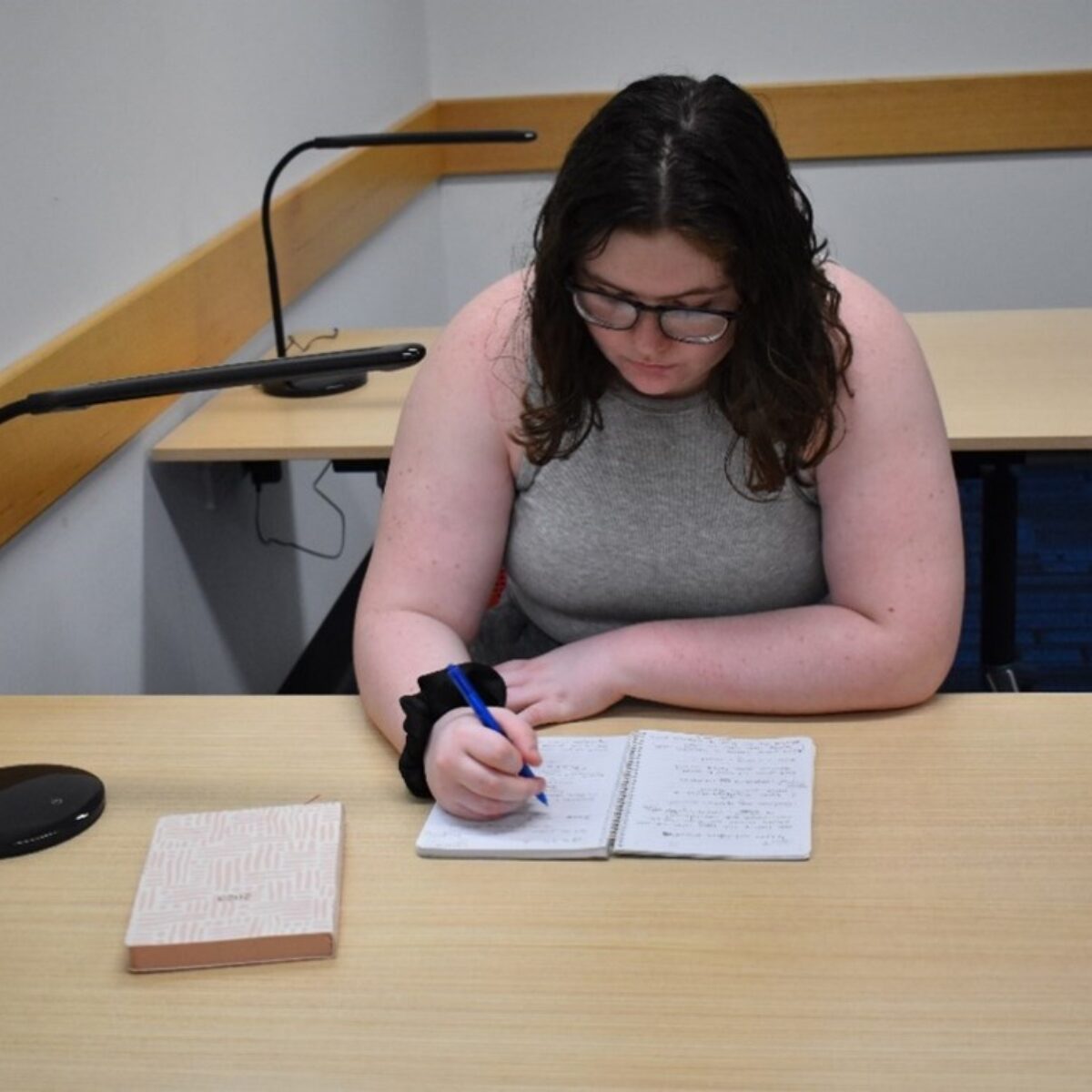 There is a new sensory friendly study space at the Nathan Library ...