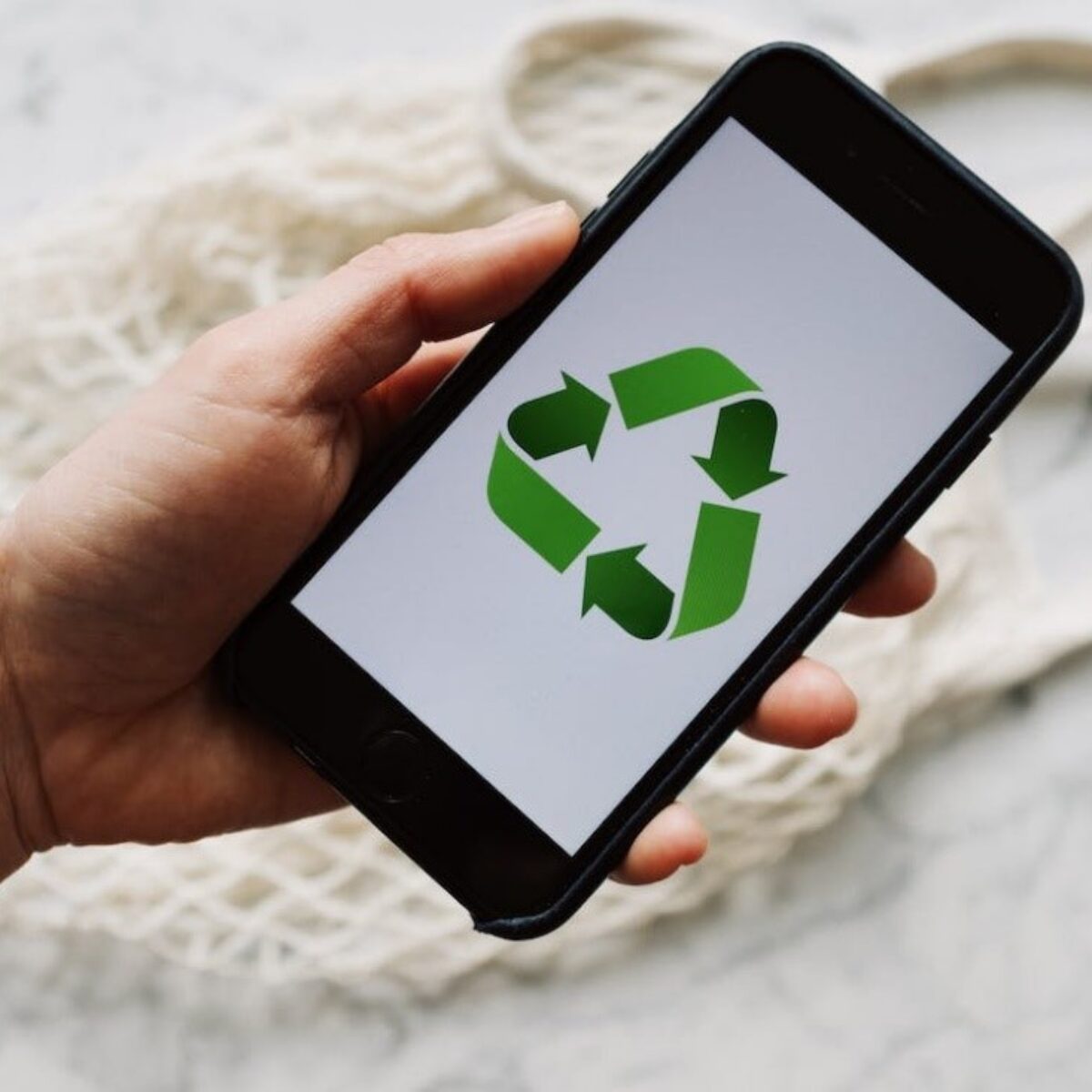 Griffith Goes Green! Get involved and become a Student Auditor ...